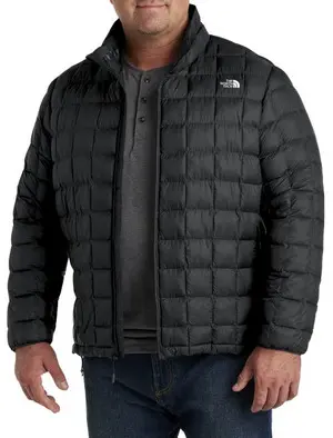 Men's The North Face Puffer Jackets