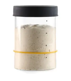 SOURHOUSE Glass Sourdough Quart Starter Jar