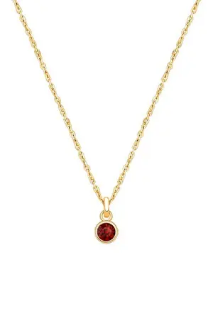TINY BLESSINGS 14k Gold Birthstone Necklace - January