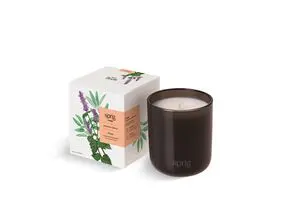 KOHLER Sprig Focus Scented Candle - Not Applicable