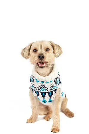 CHILLY DOG Coastal Cable Knit Dog Sweater