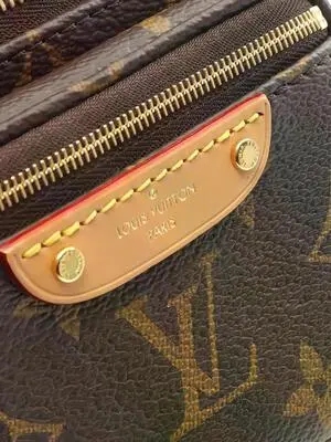 LOUIS VUITTON Mini Bumbag Monogram