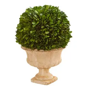 NEARLY NATURAL 12-in Boxwood Topiary Ball Preserved Plant In Decorative Urn - Green