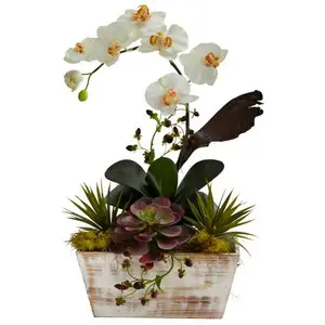 NEARLY NATURAL Orchid & Succulent Garden With Wash Planter - White