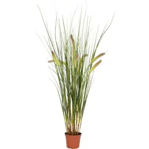 NEARLY NATURAL 2.5-ft Grass Plant - Green
