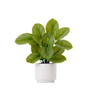NEARLY NATURAL 12-in Artificial Calathea Plant With Decorative Planter - Green
