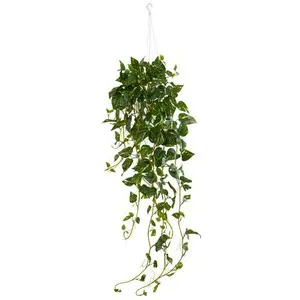 NEARLY NATURAL Pothos Hanging Basket Artificial Plant - Green