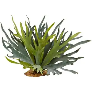 NEARLY NATURAL 21-in Staghorn Fern - Green
