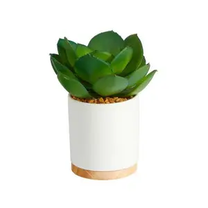 NEARLY NATURAL 6-in Succulent Artificial Plant In White Ceramic Planter - Green