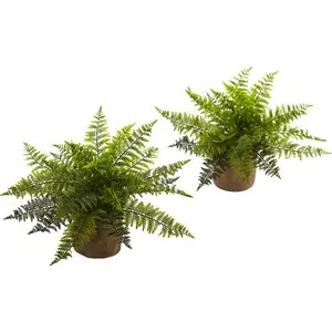 NEARLY NATURAL 15-in Ruffle Fern Bush With Burlap Base - Green