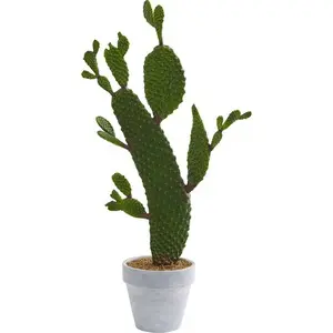 NEARLY NATURAL 27-in Cactus Artificial Plant - Green