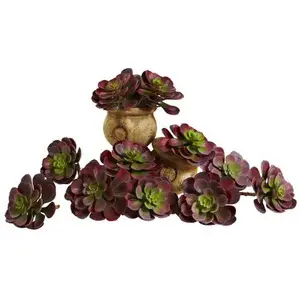 NEARLY NATURAL 6-in Echeveria Succulent - Burgundy