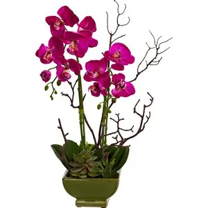 NEARLY NATURAL Orchid & Succulent Floral Arrangement - Dark Pink/green