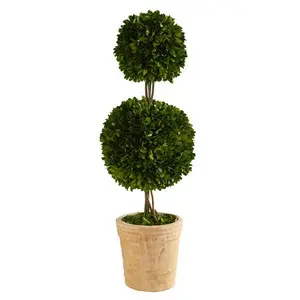 NEARLY NATURAL 2.5-ft Preserved Boxwood Double Ball Topiary Tree In Decorative Planter - Green