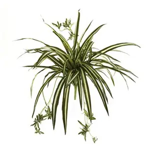 NEARLY NATURAL 23-in Spider Plant Bush - Green