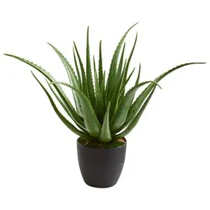 NEARLY NATURAL Aloe Artificial Plant - Green