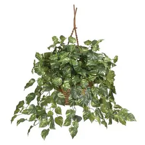 NEARLY NATURAL Pothos Hanging Basket Artificial Plant - Green
