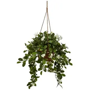 NEARLY NATURAL Mixed Stephanotis Hanging Basket