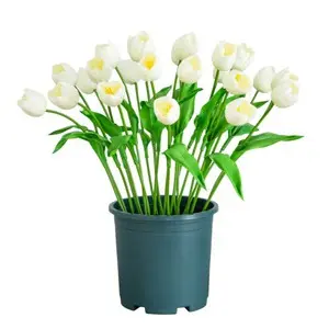 NEARLY NATURAL 2-ft Uv Resistant Artificial Tulip Plant - Green