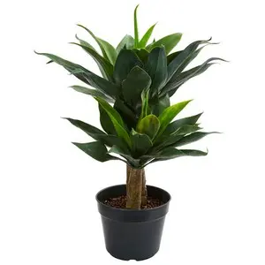 NEARLY NATURAL 29-in Double Agave Succulent Artificial Plant - Green