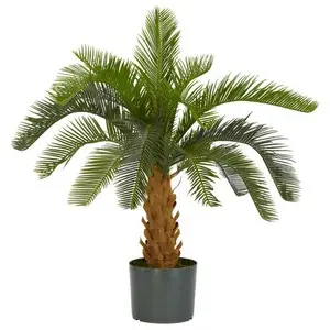 NEARLY NATURAL Cycas Artificial Plant - Green