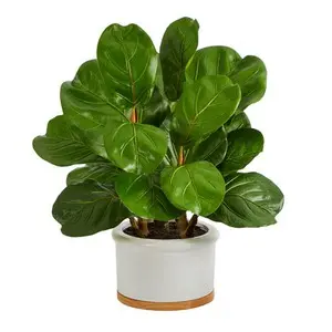 NEARLY NATURAL 15-in Fiddle Leaf Artificial Tree In White Planter - Green