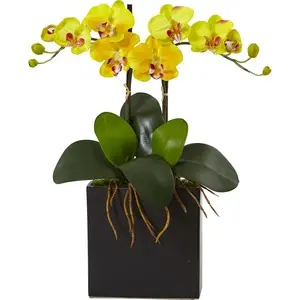 NEARLY NATURAL 18.5-in Double Mini Phalaenopsis - Yellow