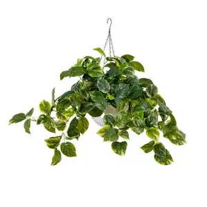 NEARLY NATURAL 24-inuv Resistant Artificial Pothos With 50 Warm White Led Lights In White Hanging Basket - Green