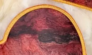 SOLAR ECLIPSE True Love Hearts Claw Clip