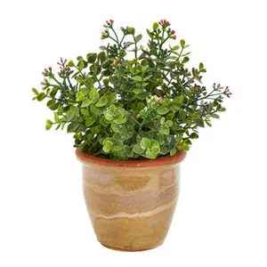 NEARLY NATURAL 10-in Eucalyptus And Sedum Succulent Artificial Plant In Ceramic Planter - Green