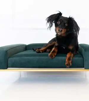 LOOTY Small Dog Sofa