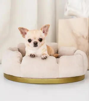 LOOTY Small Camelia Dog Sofa
