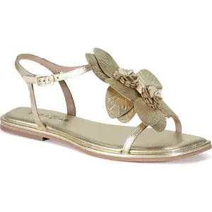 Diba True Buckled Sandals For Women