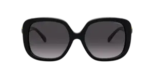 COACH Black Sunglasses - Dark Grey Gradient