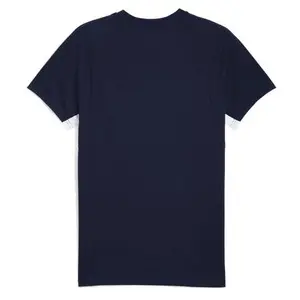 PUMA Chivas Evostripe Drycell Raglan T-shirt