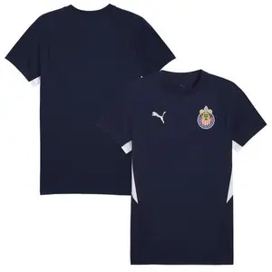 PUMA Chivas Evostripe Drycell Raglan T-shirt