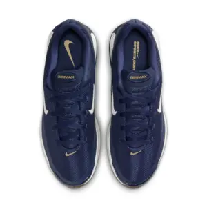 Nike Air Max Shoes