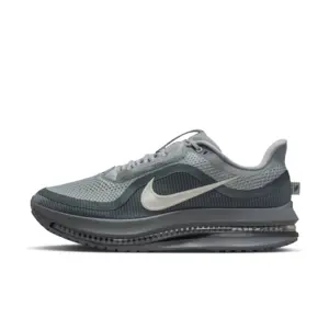 Nike Pegasus Premium Road Running Shoes