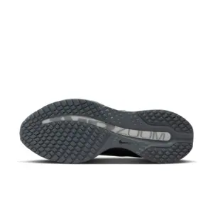 Nike Pegasus Premium Road Running Shoes