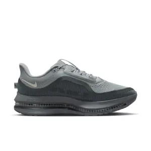 Nike Pegasus Premium Road Running Shoes