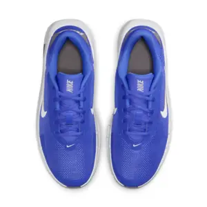 Nike Flex Train Workout Shoes - Blue
