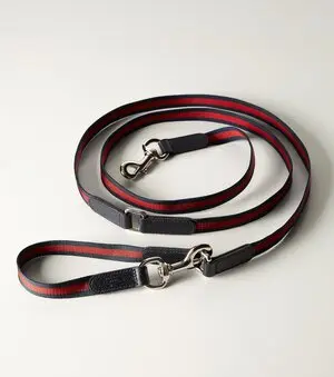 Gucci Web Stripe Dog Leash - Red