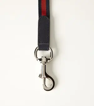 Gucci Web Stripe Dog Leash