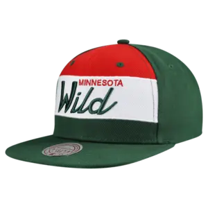 Mitchell & Ness Minnesota Wild Retro Script Colorblock Snapback Hat