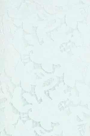 Zimmermann Guipure Lace Midi Pencil Skirt