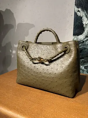 Bottega Veneta Small Andiamo