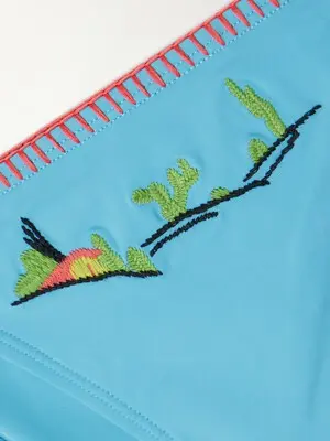 Staud Sisley Embroidered Bikini Briefs - Blue