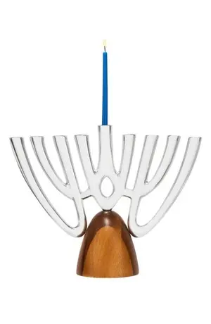 NAMBE Unity Menorah