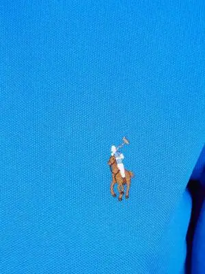 Polo Ralph Lauren Buttoned Shirt