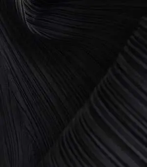 Issey Miyake Pleated Trousers